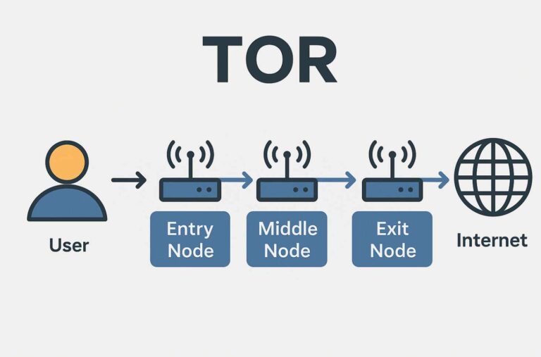 Apa Itu TOR Browser? Mengenal Teknologi di Balik Privasi Online ...